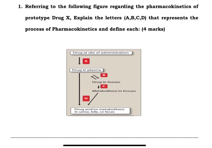 Solved 4. Explain each letter and the process of synthesis | Chegg.com
