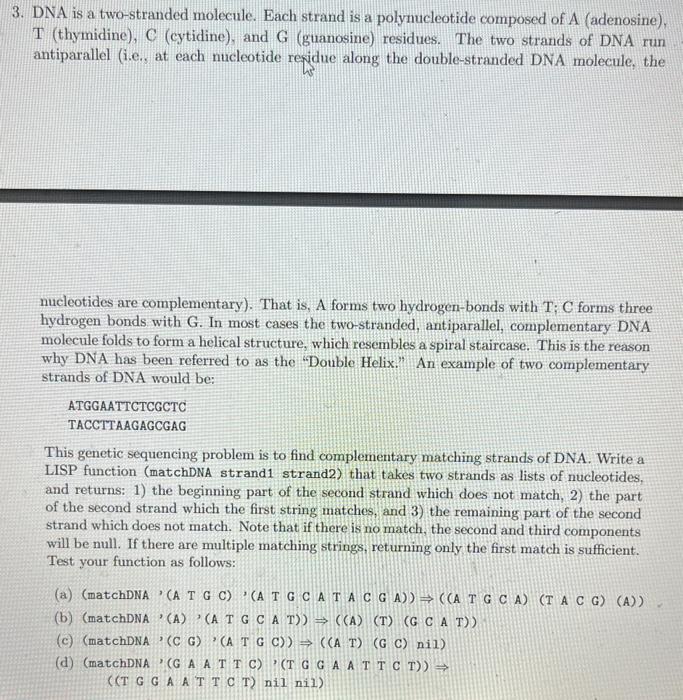 Solved 3. DNA is a two-stranded molecule. Each strand is a | Chegg.com