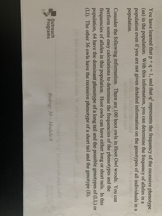 Solved You have learned that p+q=1, and that represents the | Chegg.com