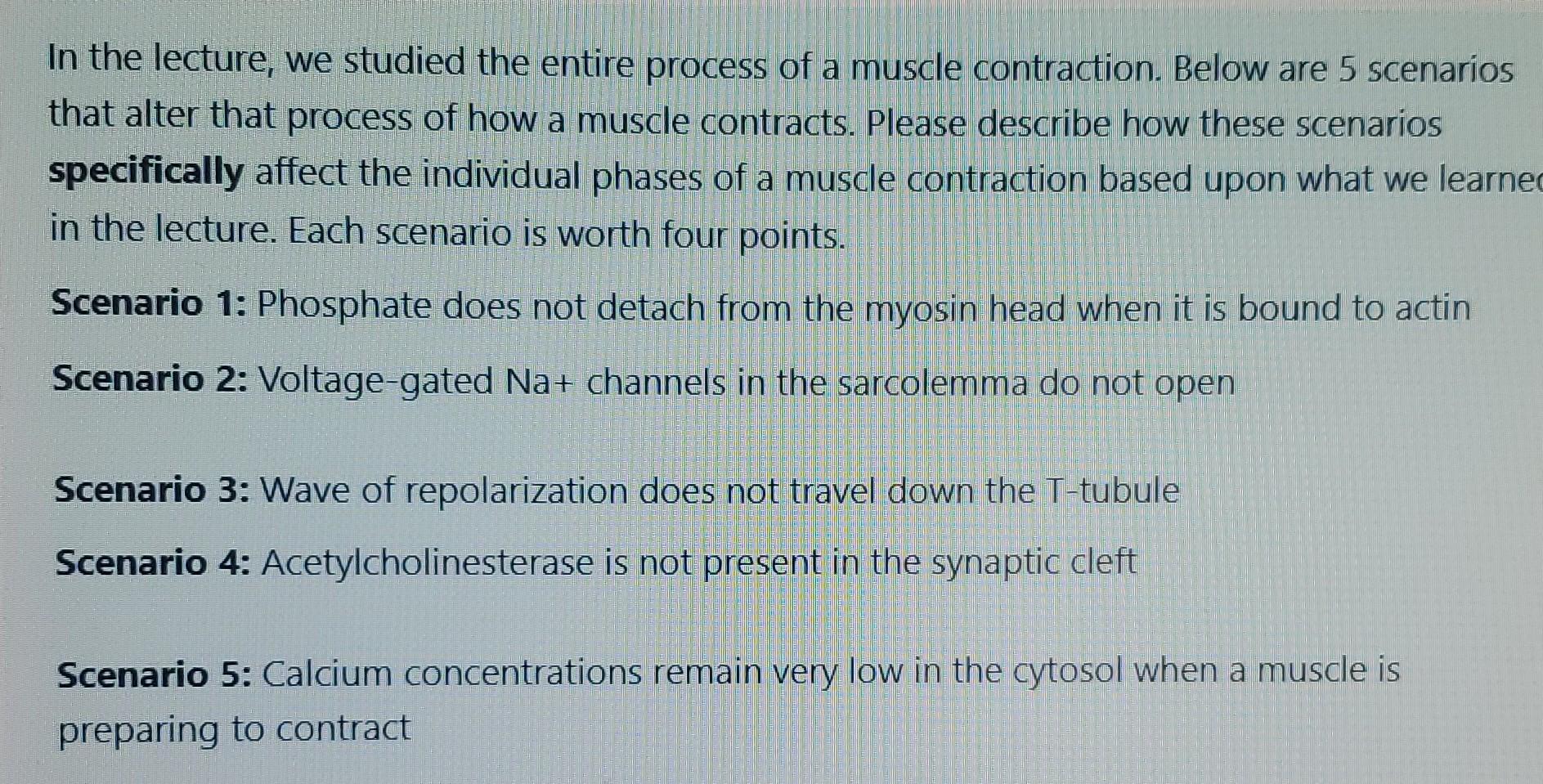 Solved In the lecture, we studied the entire process of a | Chegg.com