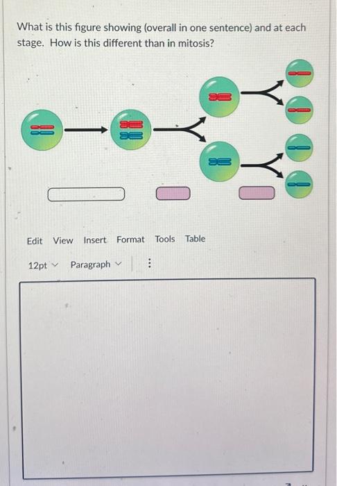 Solved What is this figure showing (overall in one sentence) | Chegg.com