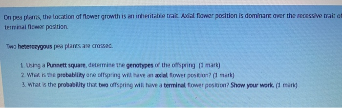 Solved On pea plants, the location of flower growth is an | Chegg.com