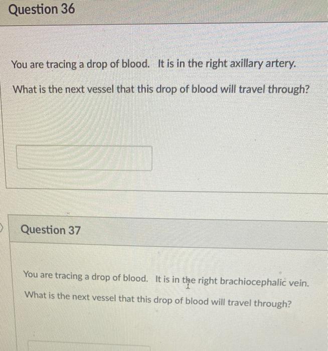Solved Question 36 You are tracing a drop of blood. It is in | Chegg.com