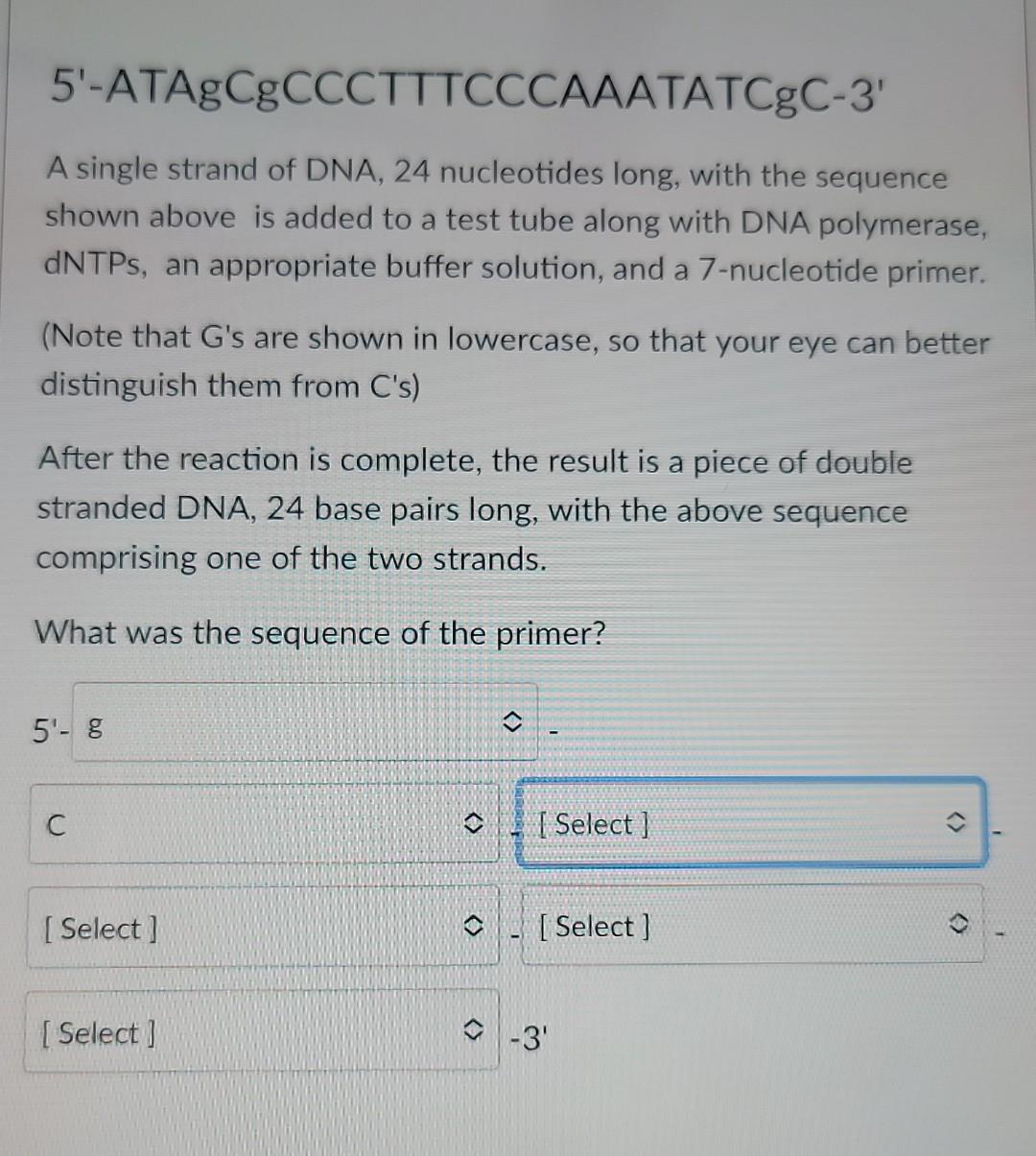 Solved 5'-ATAgCgCCCTTTCCCAAATATCgC-3' A single strand of | Chegg.com