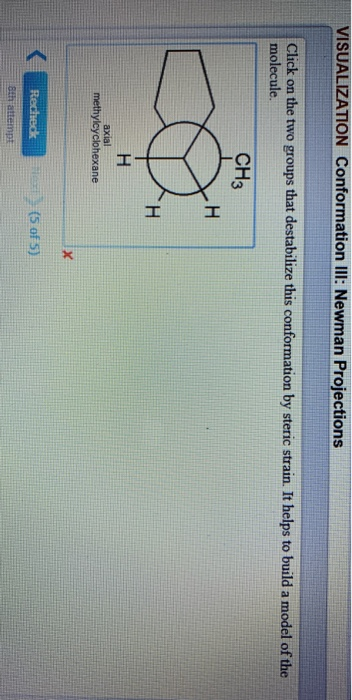 Solved VISUALIZATION Conformation III: Newman Projections | Chegg.com