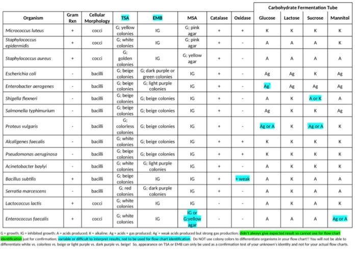 Solved i need flowcharts created separating all 15 | Chegg.com