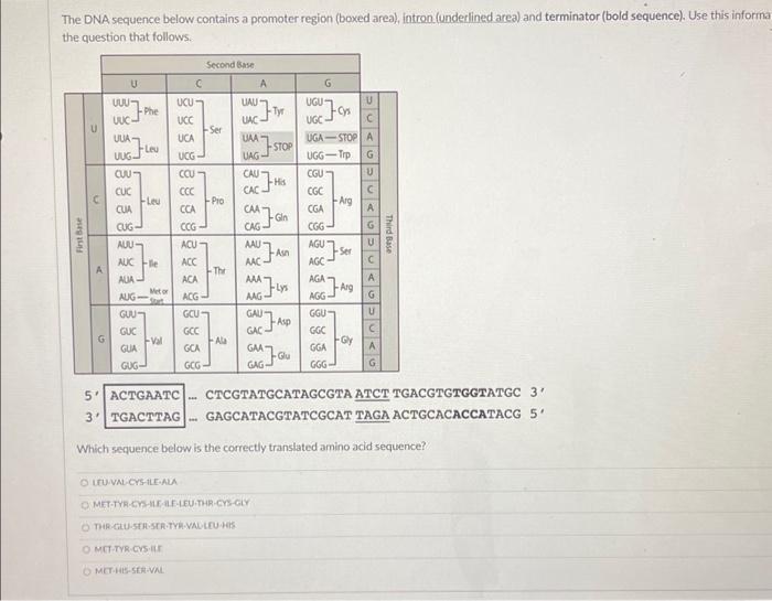 Solved The DNA sequence below contains a promoter region | Chegg.com