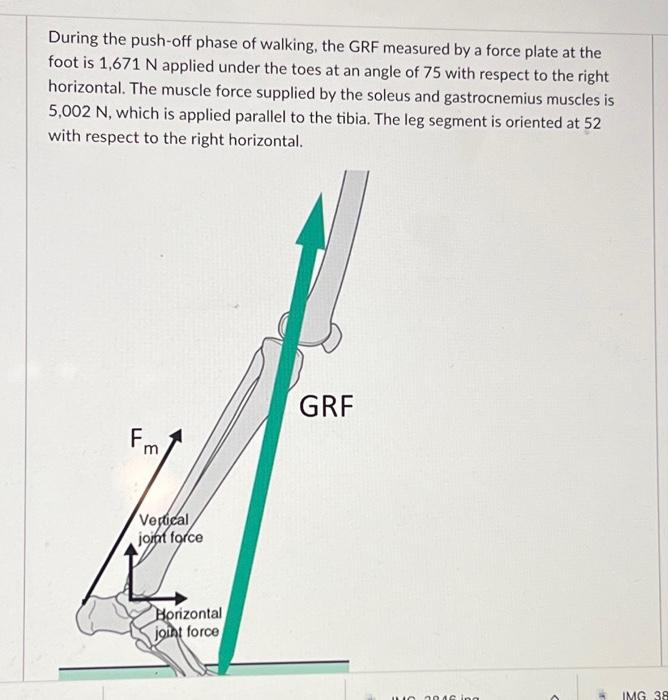 Solved During the push-off phase of walking, the GRF | Chegg.com