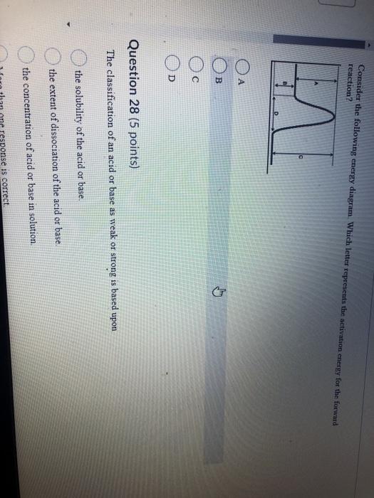 Solved Par Question 26 (5 points) Which of the following | Chegg.com