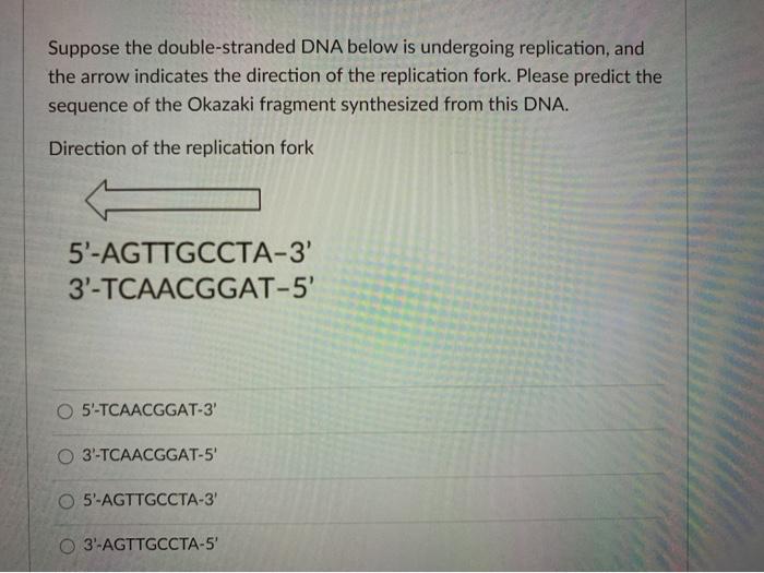 Solved Suppose the double-stranded DNA below is undergoing | Chegg.com