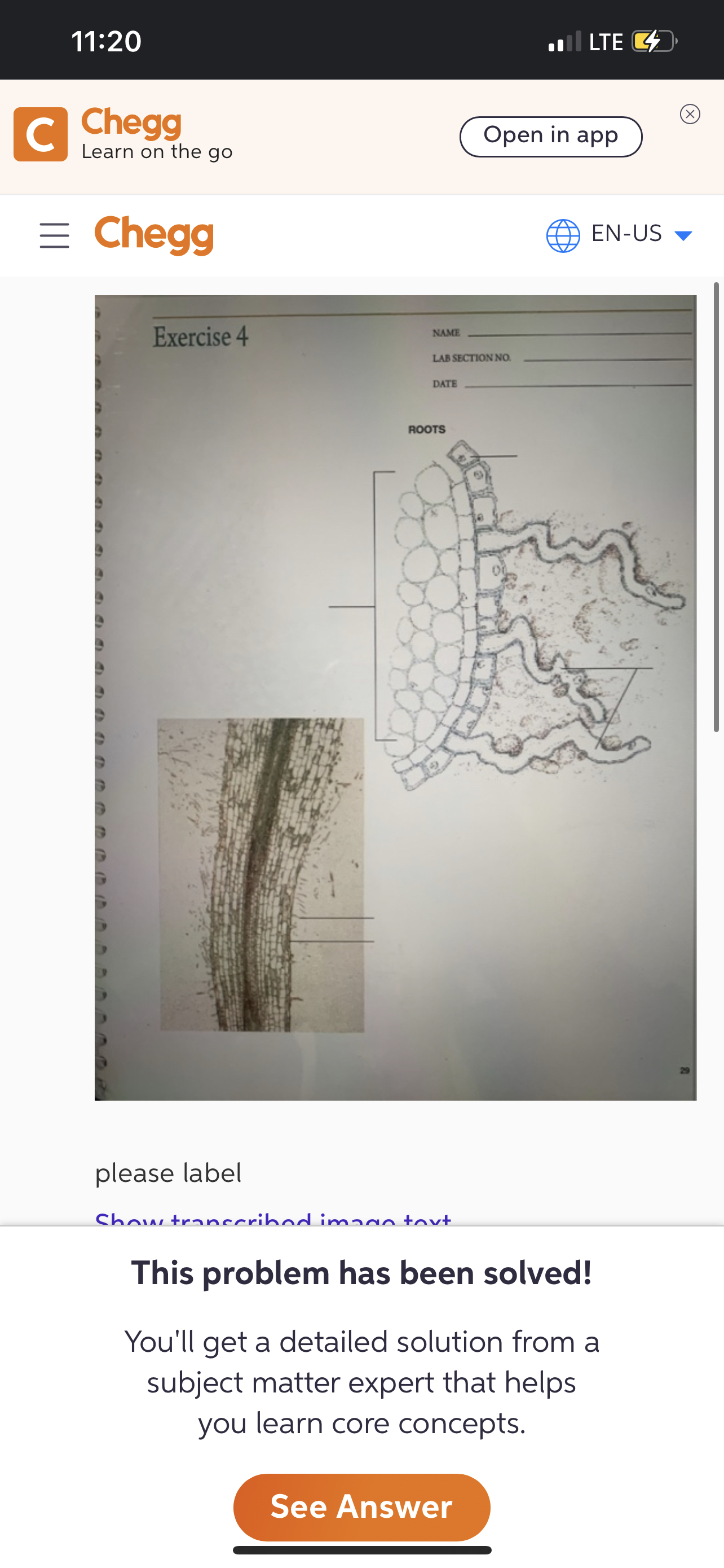 Solved 11:20a] ﻿LTE [द],C CheggLearn on the gooxOpen in | Chegg.com
