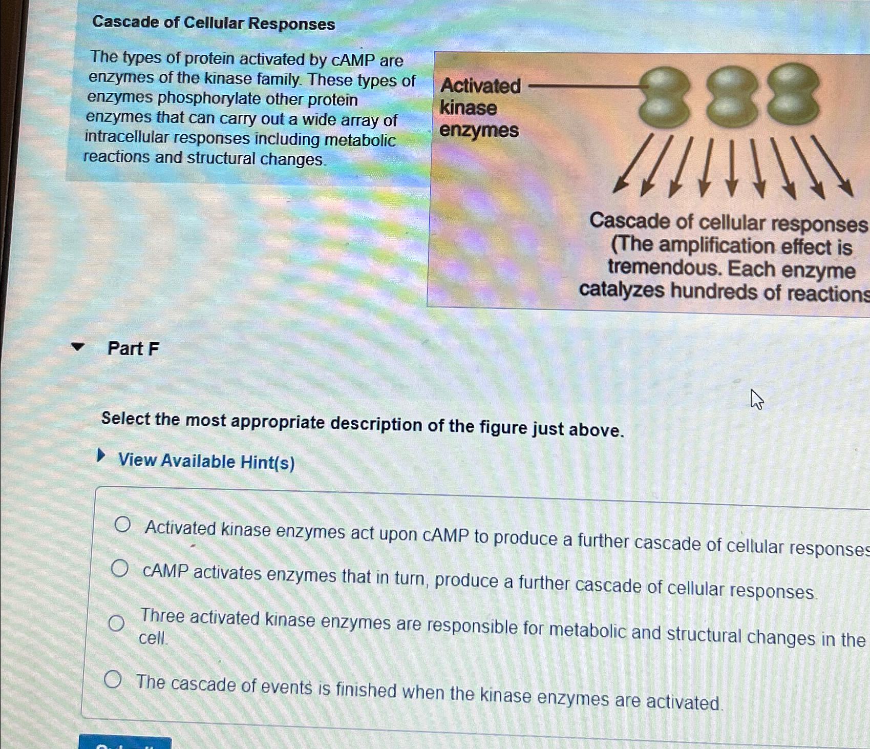 Solved Cascade of Cellular ResponsesThe types of protein | Chegg.com