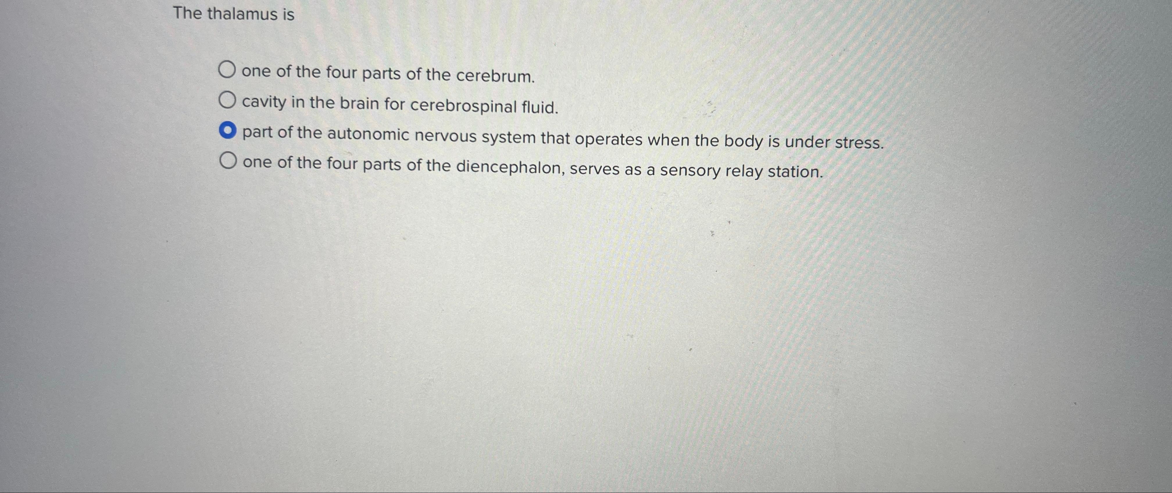 The thalamus isone of the four parts of the | Chegg.com