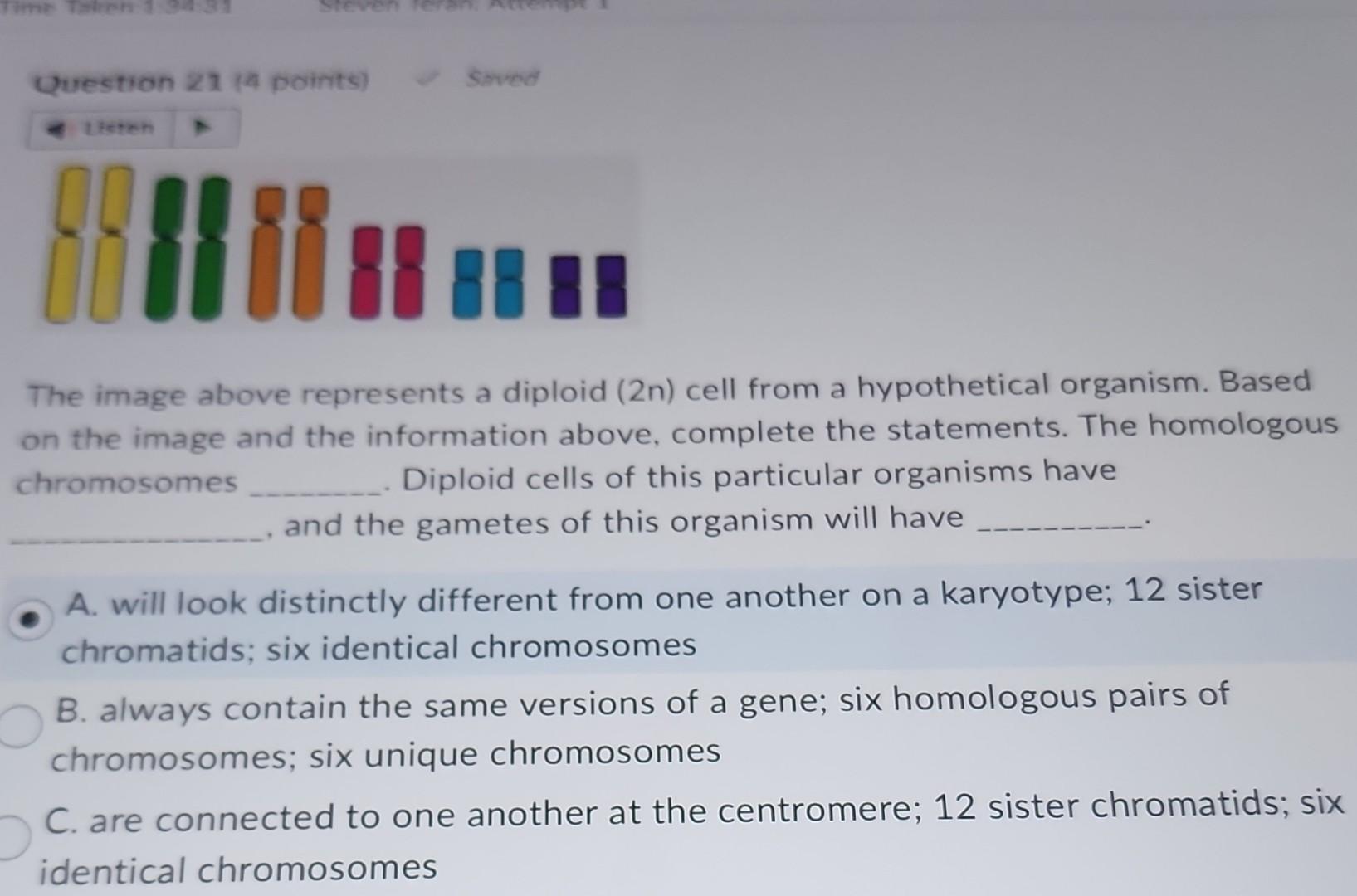 Solved The image above represents a diploid (2n) cell from a | Chegg.com