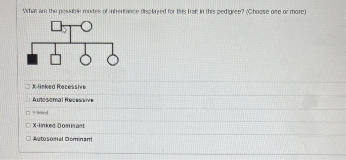 Solved What are the possible modes of inheritance displayed | Chegg.com