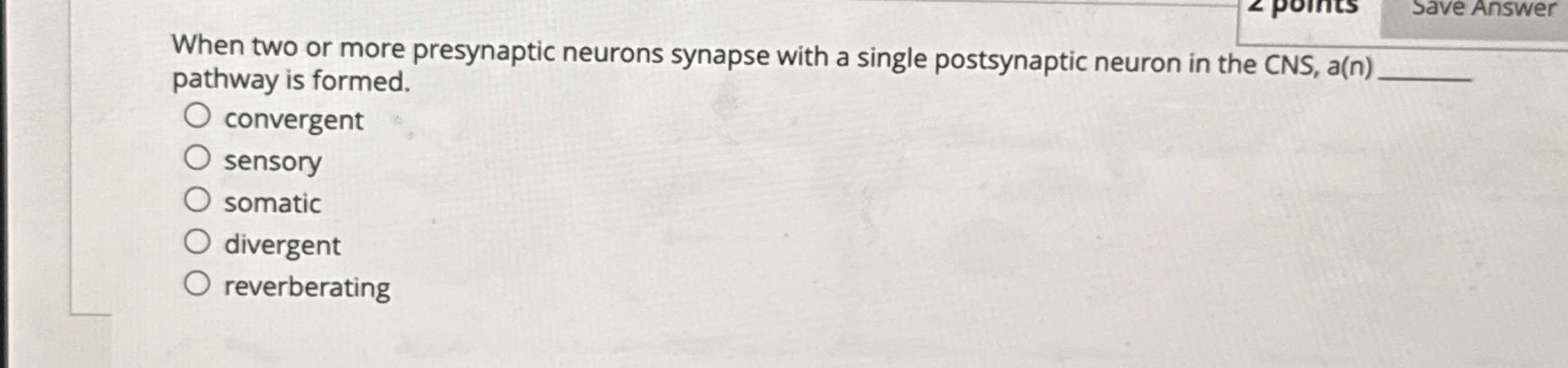 Solved Save AnswerWhen two or more presynaptic neurons | Chegg.com