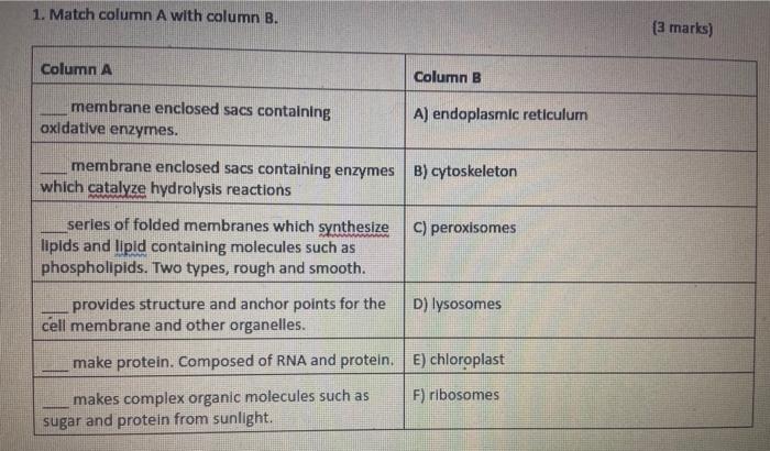 Solved 1. Match column A with column B. (3 marks) Column A | Chegg.com