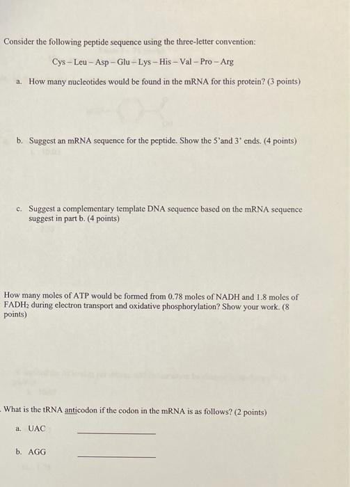 Solved Consider the following peptide sequence using the | Chegg.com