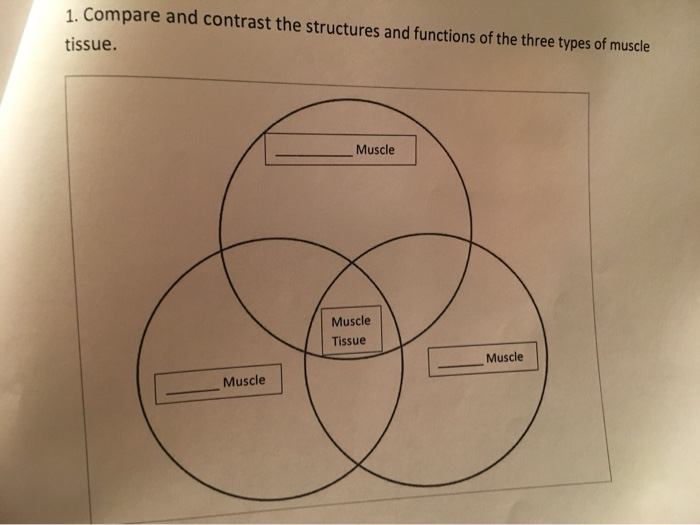 Solved 1. Compare and contrast the structures and functions | Chegg.com