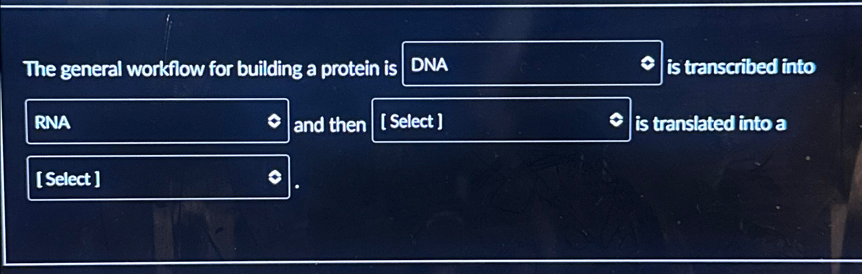 Solved The general workflow for building a protein | Chegg.com