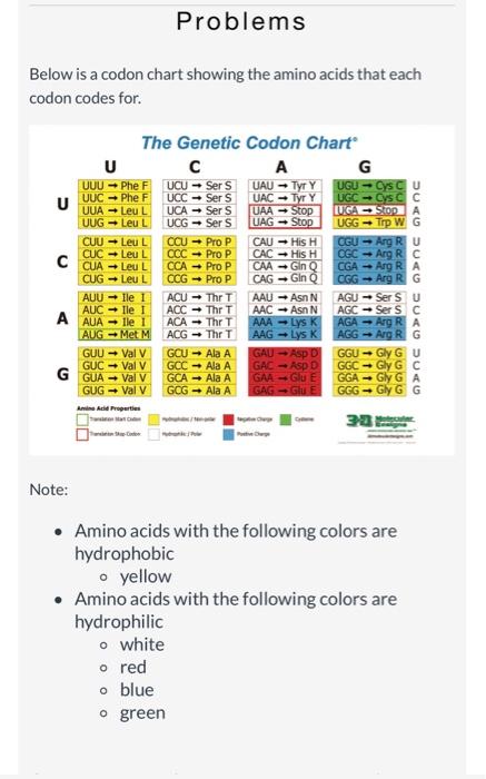 Solved Below is a codon chart showing the amino acids that | Chegg.com