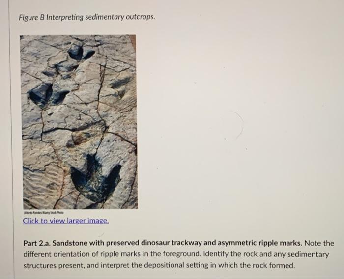 Solved Figure B Interpreting sedimentary outcrops. Click to | Chegg.com