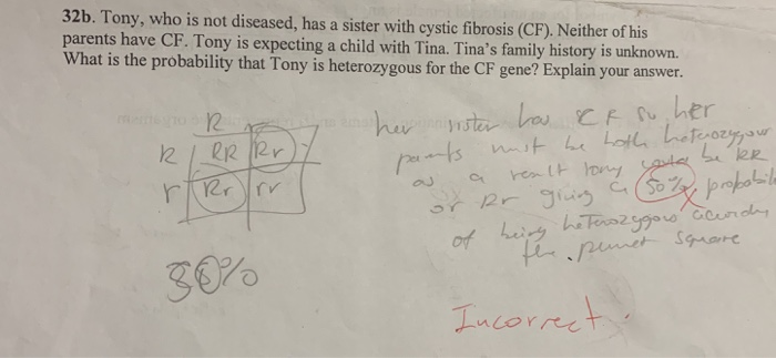 Solved 32b. Tony, who is not diseased, has a sister with | Chegg.com