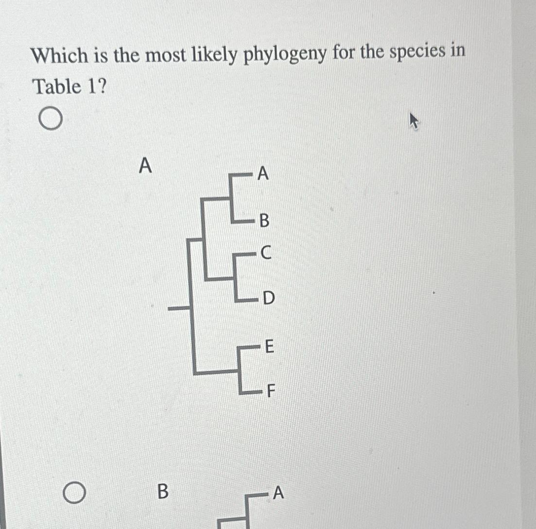 Solved Which is the most likely phylogeny for the species in | Chegg.com