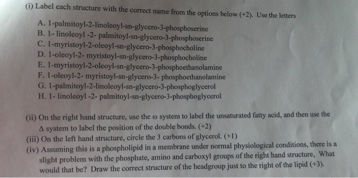 Solved (i) Label each structure with the correct name from | Chegg.com