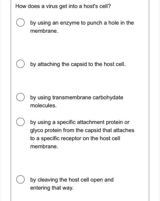 Solved How does a virus get into a host's cell? by using an | Chegg.com