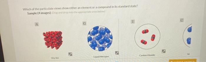Solved Which of the particulate views show either an clement | Chegg.com