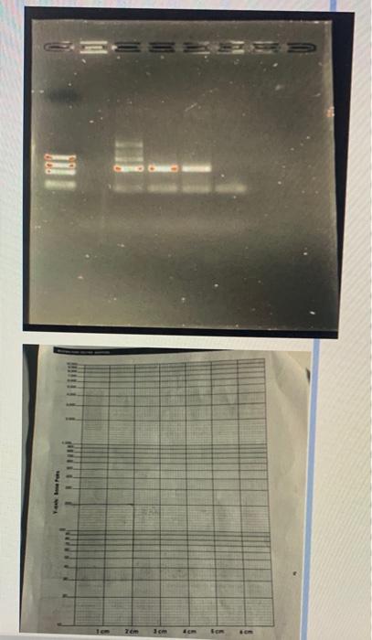 Restriction Enzyme Mapping 0885