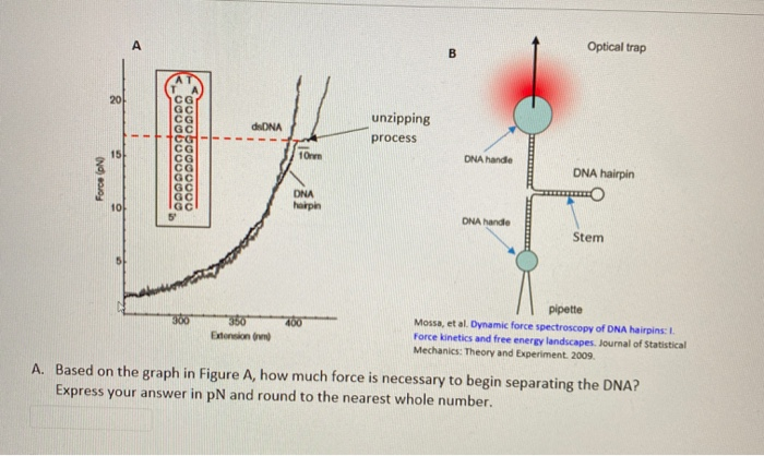 Solved QUESTION 15 Problem 5 (Force-extension curves of DNA | Chegg.com