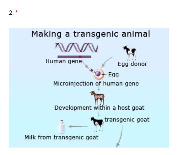 Solved Analyze the given image of making a transgenic | Chegg.com