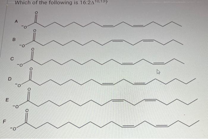 Solved Which of the following is 16:2Δ10,13 ? A B C D E | Chegg.com