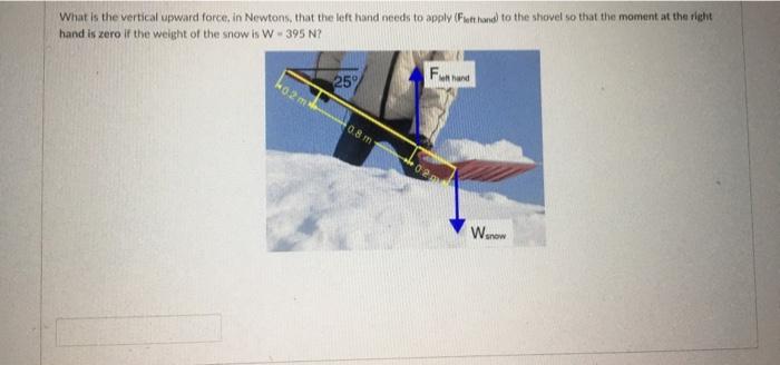 Solved What is the vertical upward force, in Newtons, that | Chegg.com