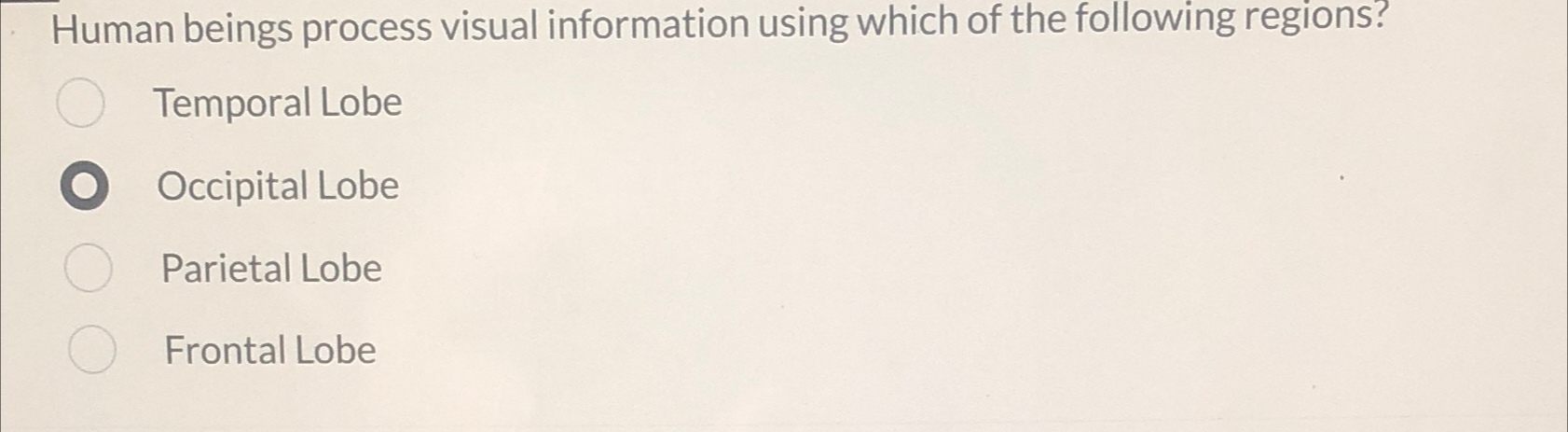 Solved Human beings process visual information using which | Chegg.com