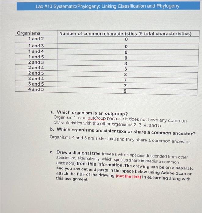 Solved Lab \#13 Systematic/Phylogeny: Linking Classification | Chegg.com