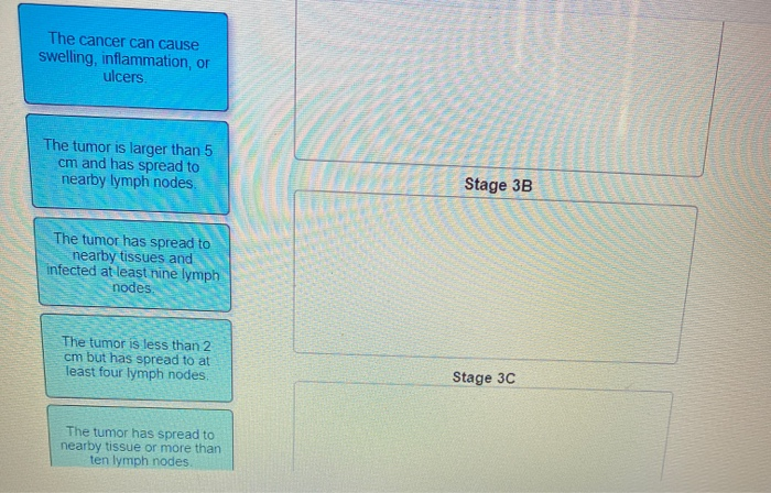 Solved classify each of the following descriptions to | Chegg.com