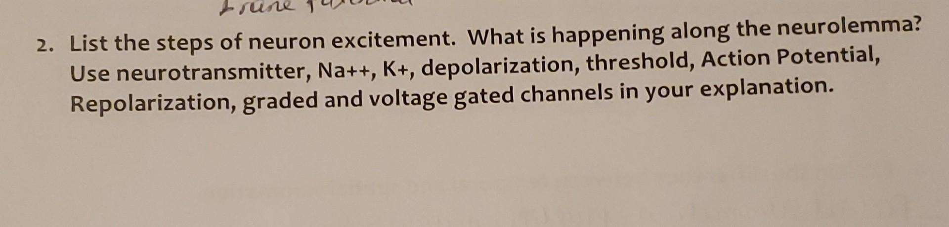 Solved 2. List the steps of neuron excitement. What is | Chegg.com