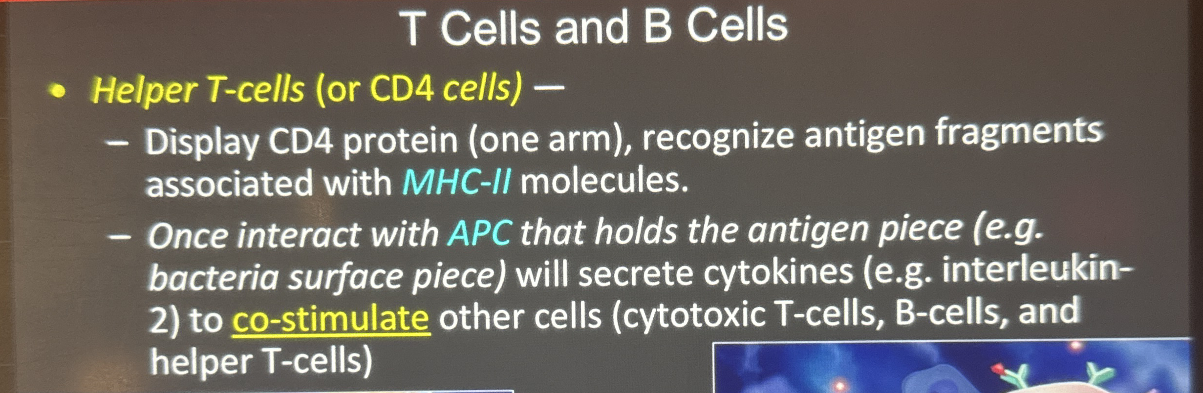 Solved T ﻿Cells and B CellsHelper T-cells (or CD4 | Chegg.com