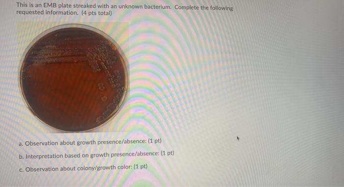 Solved This is an EMB plate streaked with an unknown | Chegg.com