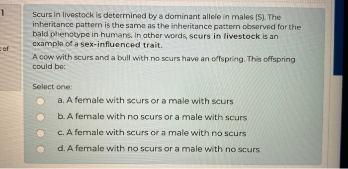 Solved Scurs in livestock is determined by a dominant allele | Chegg.com