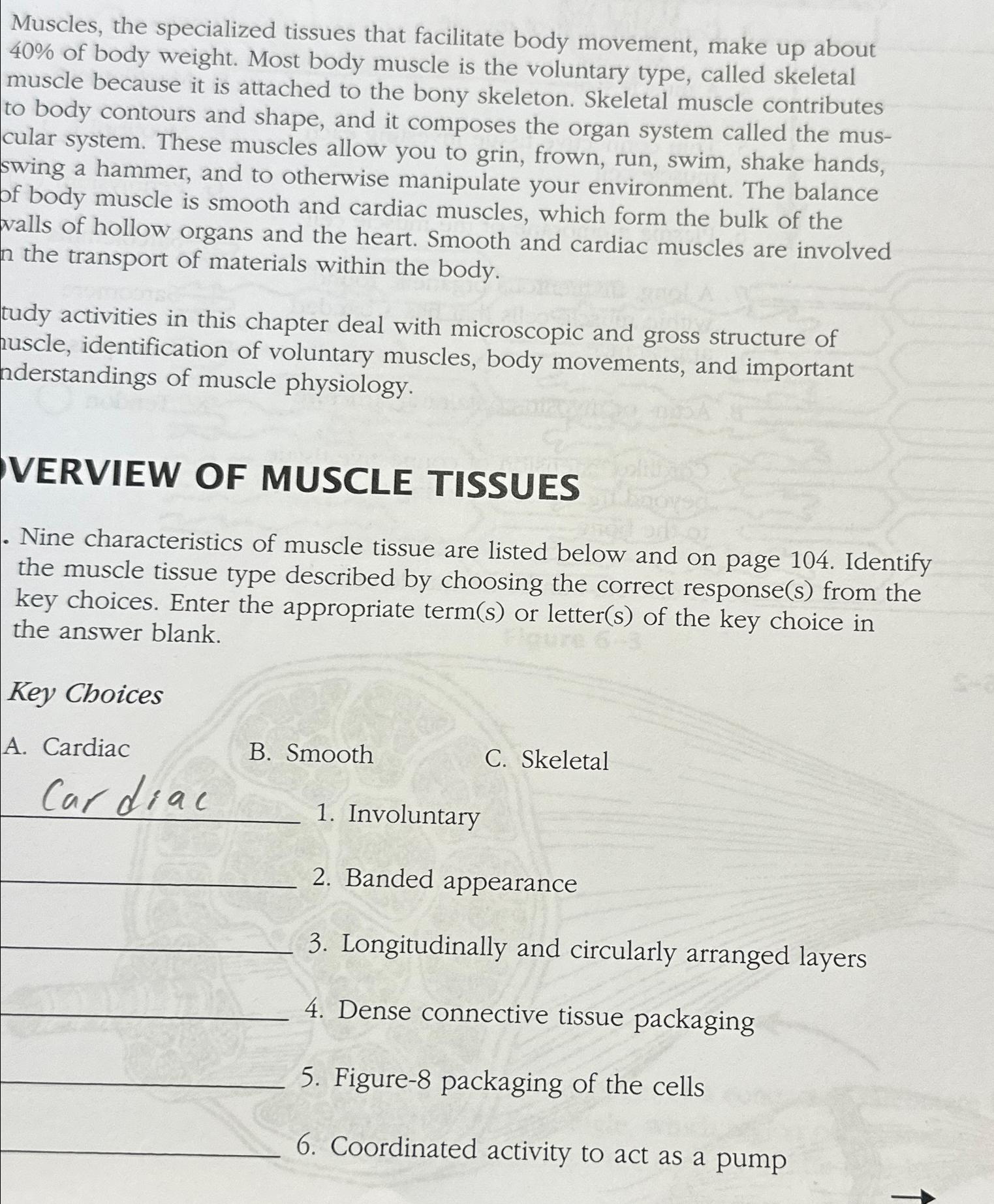 Solved Muscles, the specialized tissues that facilitate body | Chegg.com