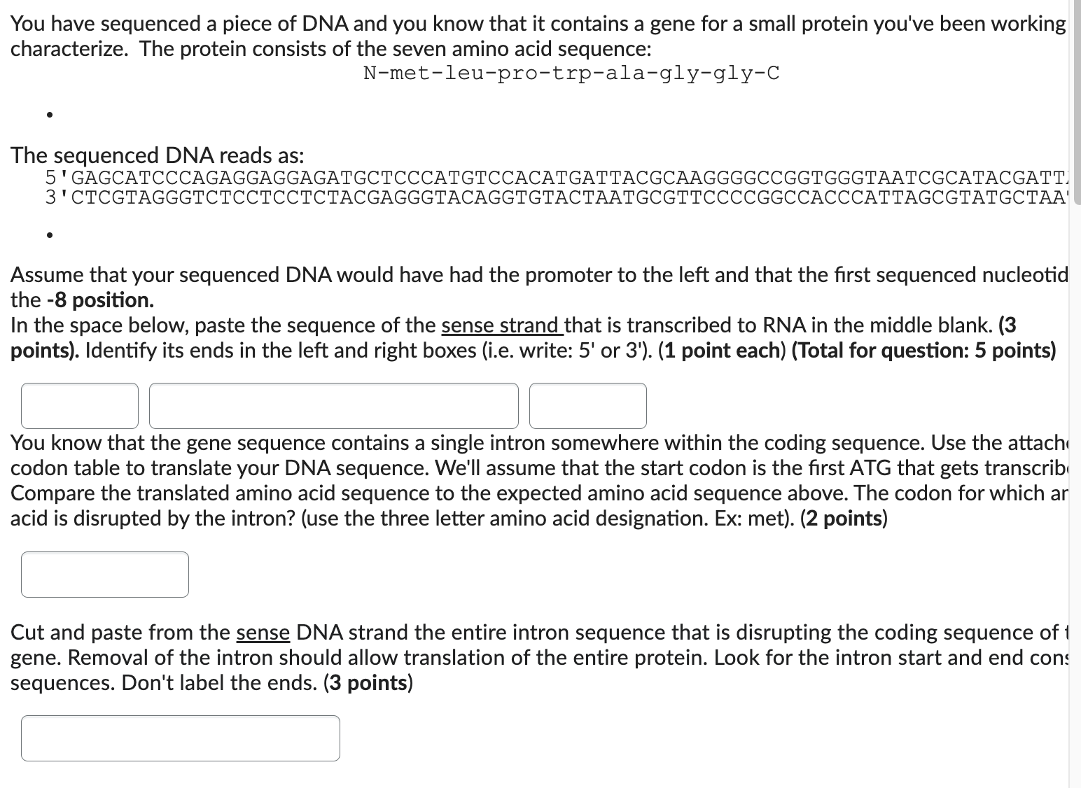 Solved You have sequenced a piece of DNA and you know that | Chegg.com