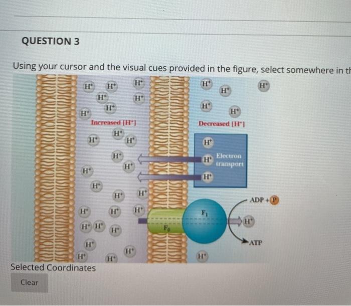 using your cursor and the visual cues provided in the | Chegg.com