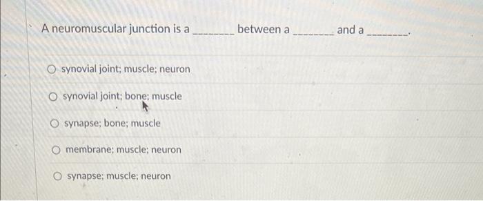 Solved A neuromuscular junction is a between a and a | Chegg.com