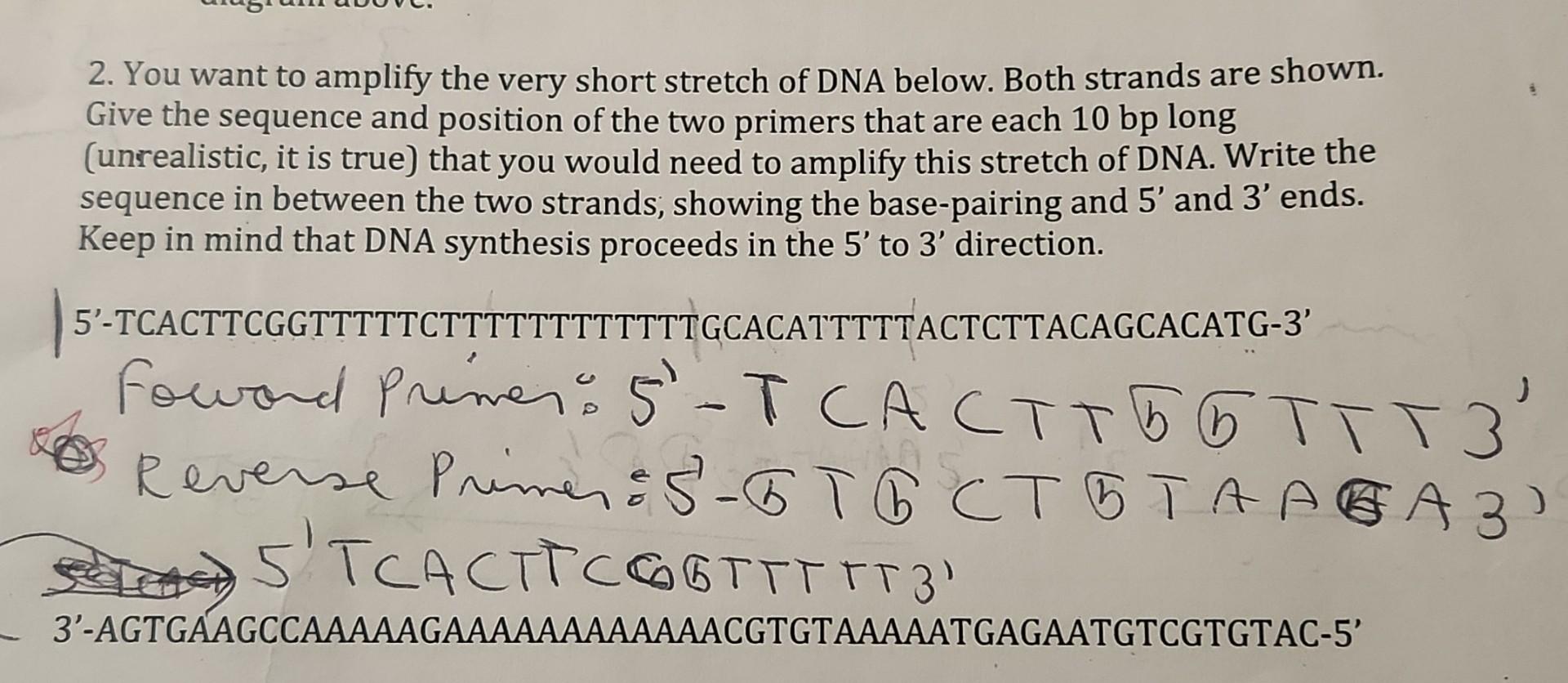 Solved 2. You want to amplify the very short stretch of DNA | Chegg.com