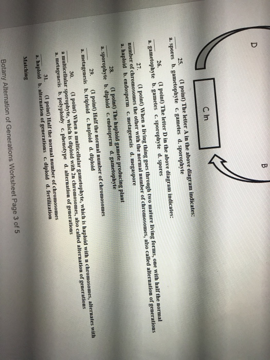 Solved Botany Alternation of Generations Worksheet Multiple | Chegg.com