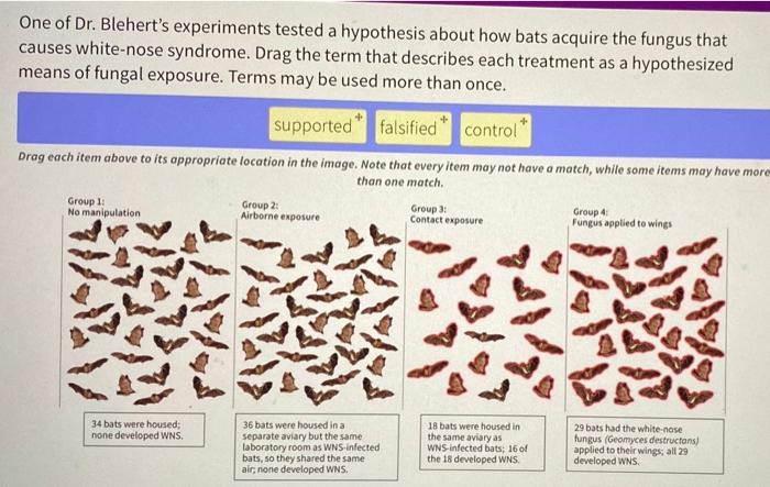 Solved One Of Dr Blehert s Experiments Tested A Hypothesis Chegg